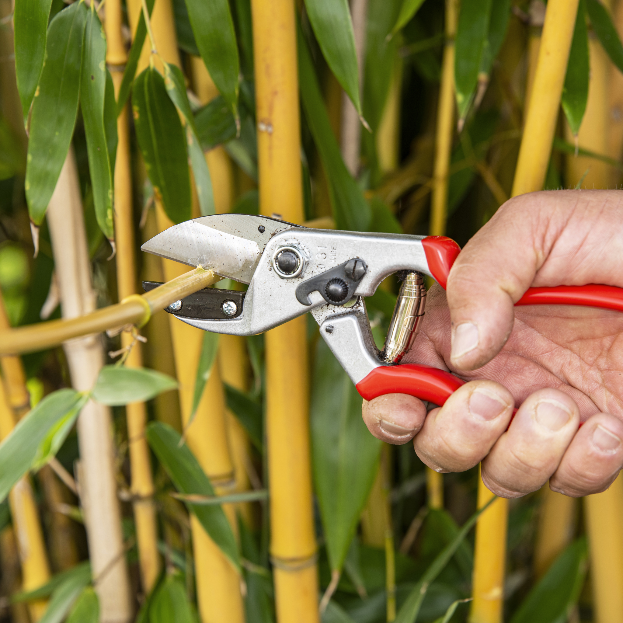 Anvil Pruners – FELCO World