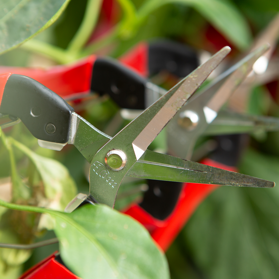 All FELCO Tools – FELCO World