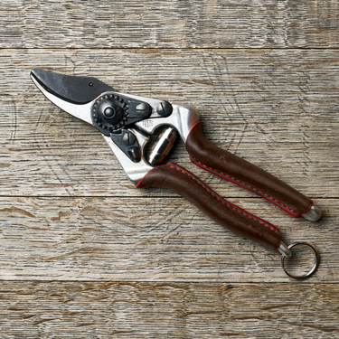 FELCO 6 Elite - Pruning shears – FELCO World