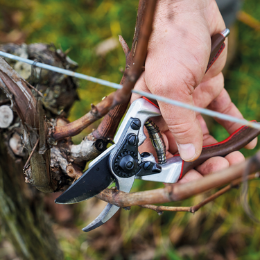 FELCO 6 Elite - Pruning shears – FELCO World