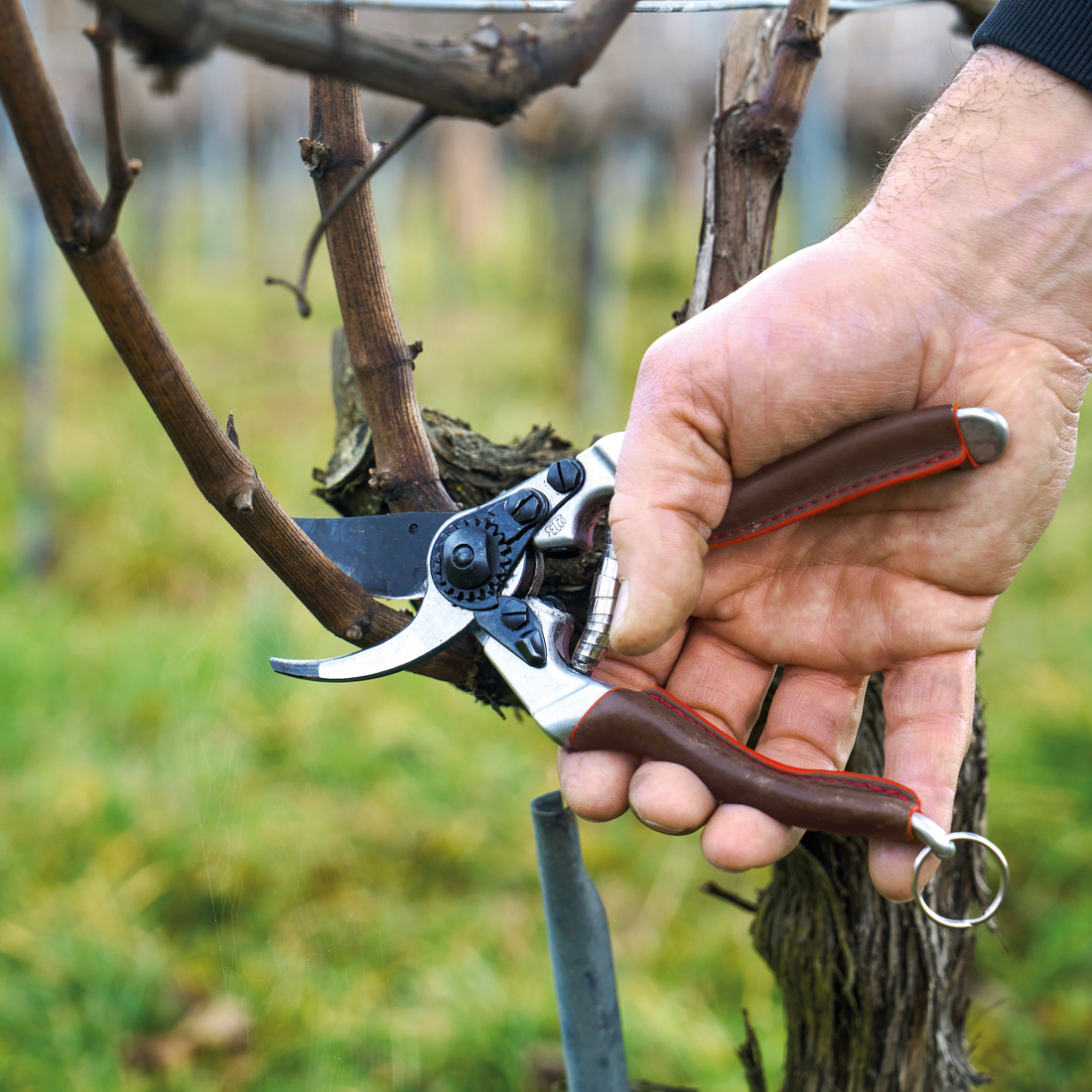 FELCO 6 Elite | Medium Right-Handed One-hand pruning shear | 0.262 kg ...