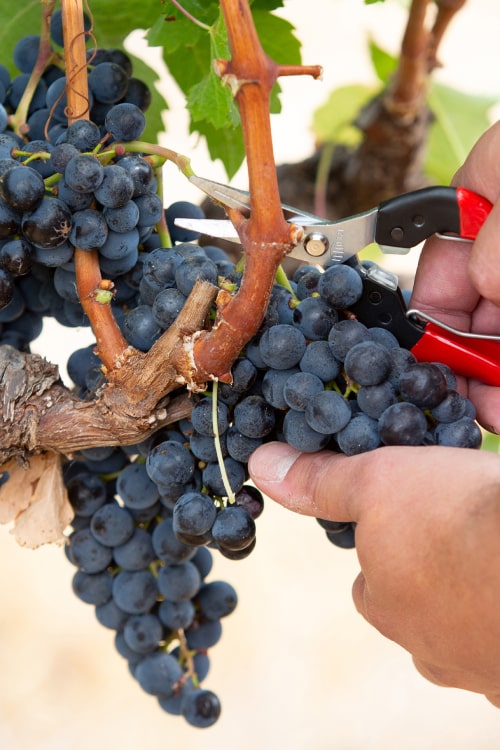 FELCO SA | Swiss Precision. Made to Last. – FELCO World